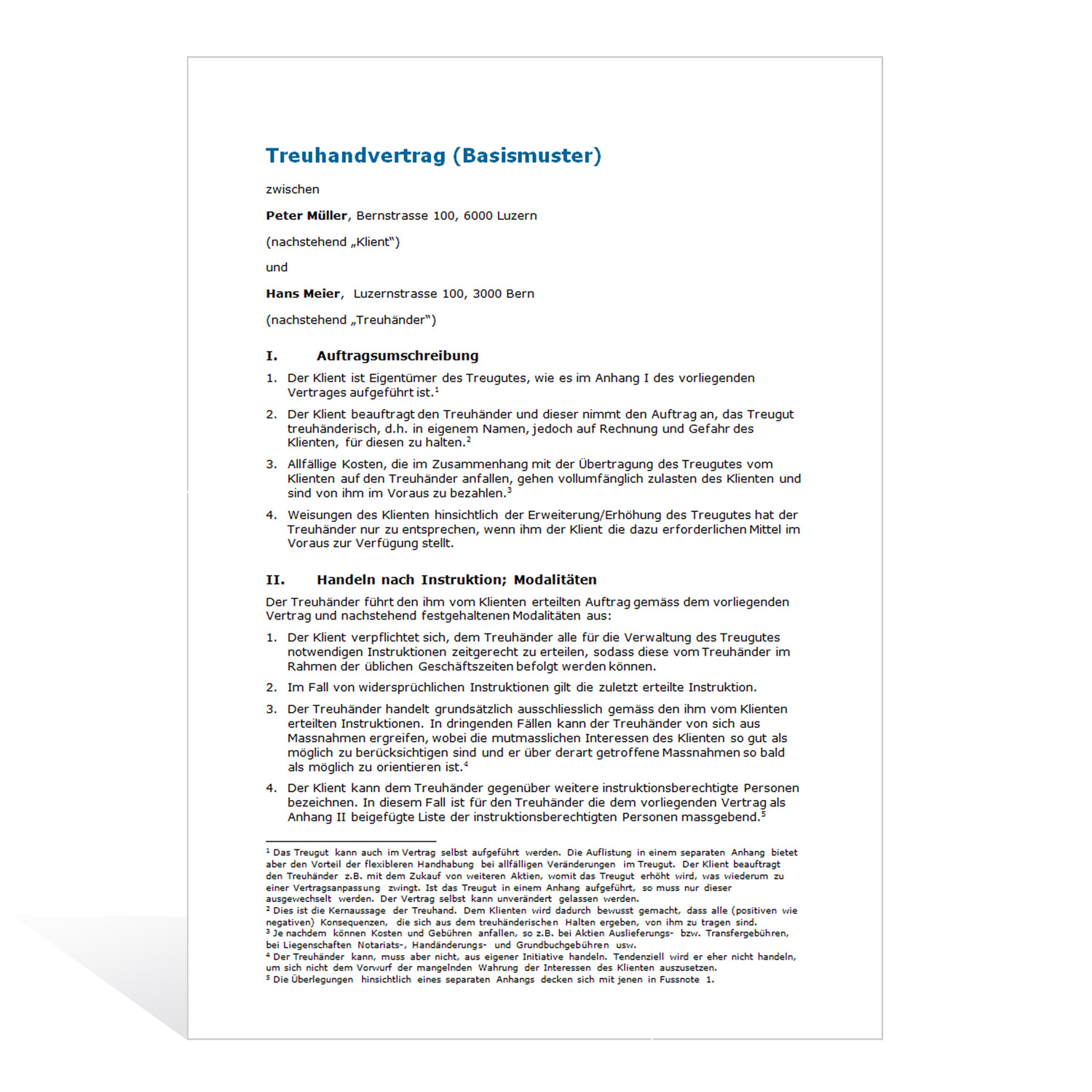 Treuhandvertrag Basismuster